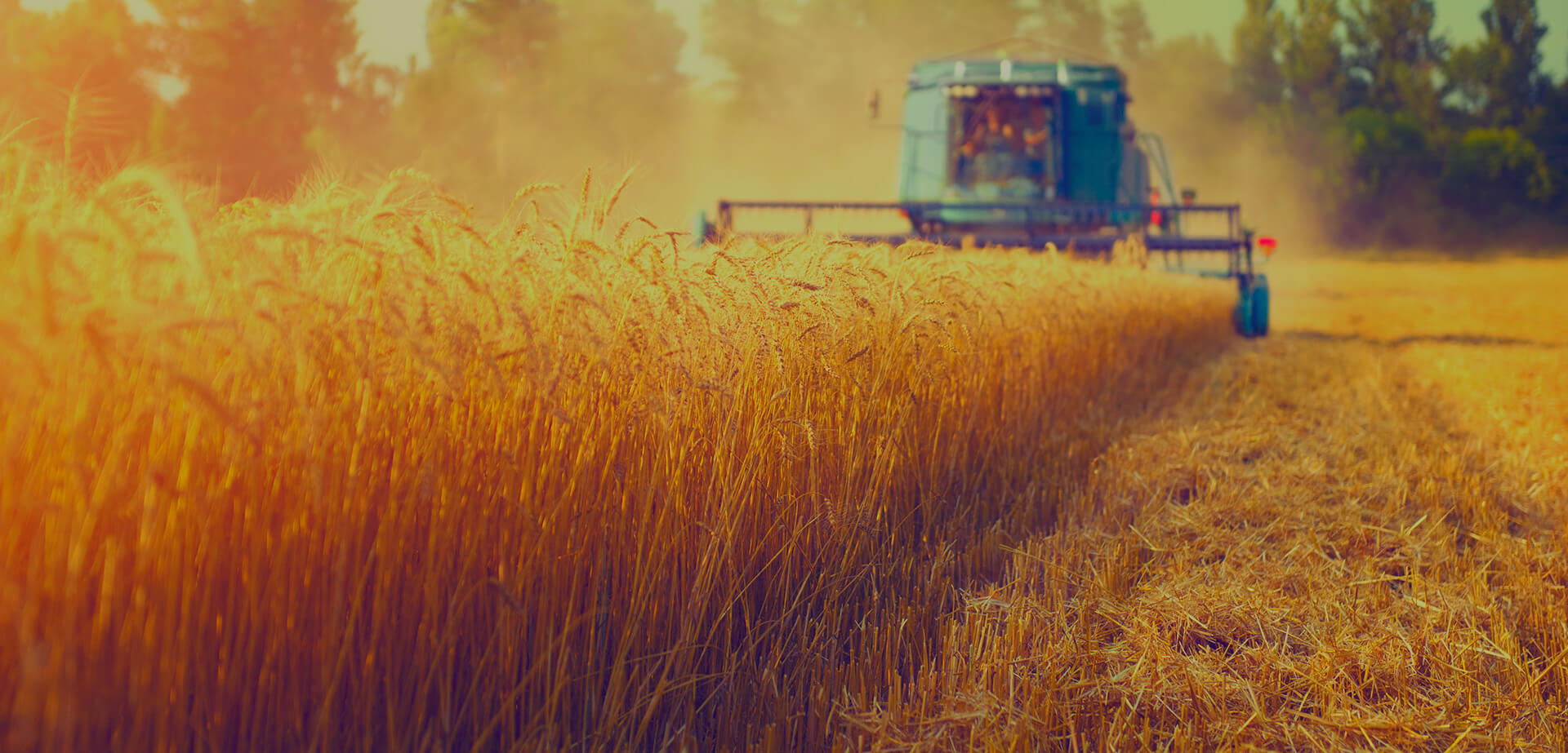 Luft Logistics – Soluções logísticas especializadas